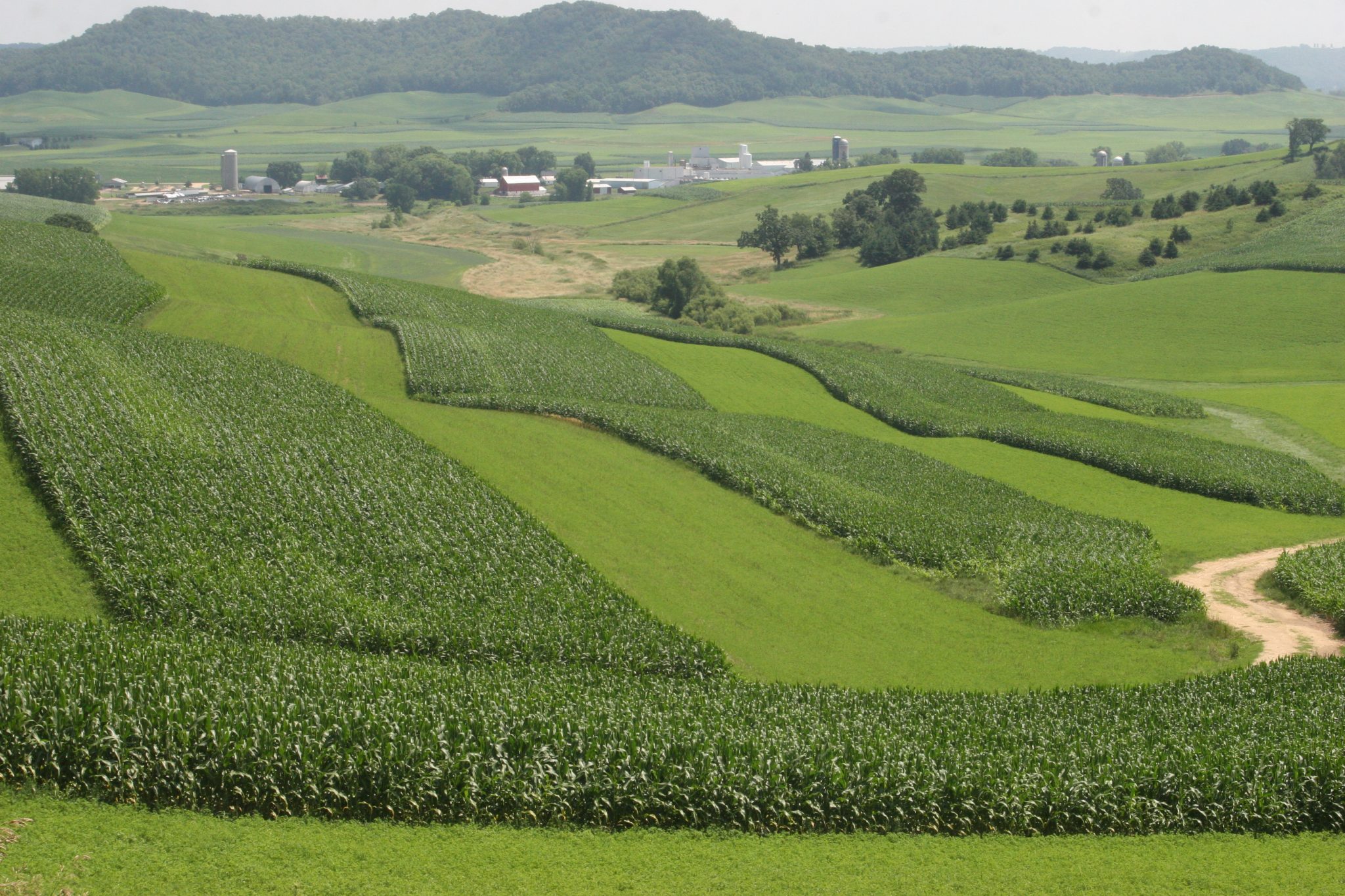 Conservation & Sustainability - Farm Foundation