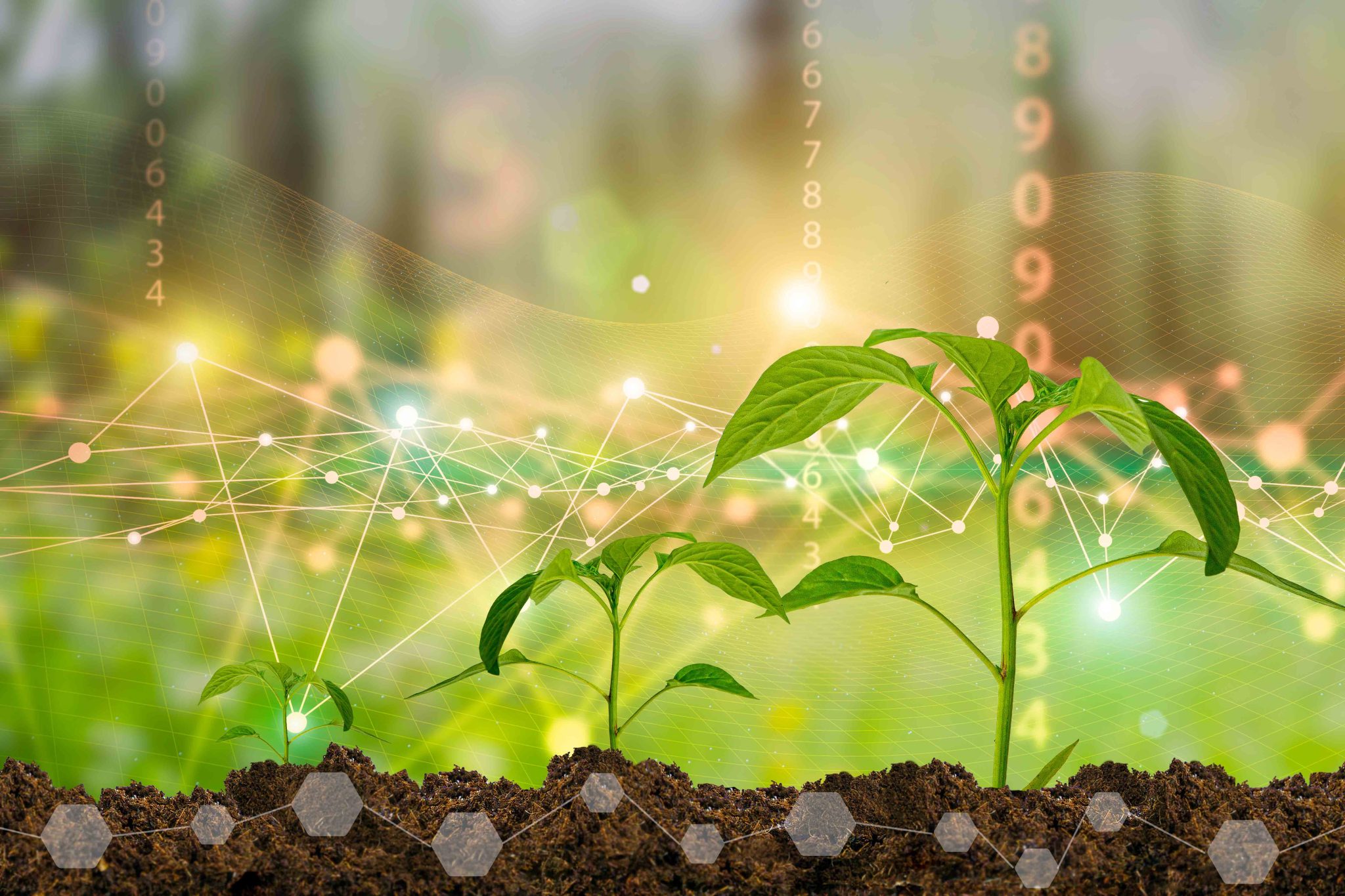 Agricultural technologies for growing plants and scientific research in ...