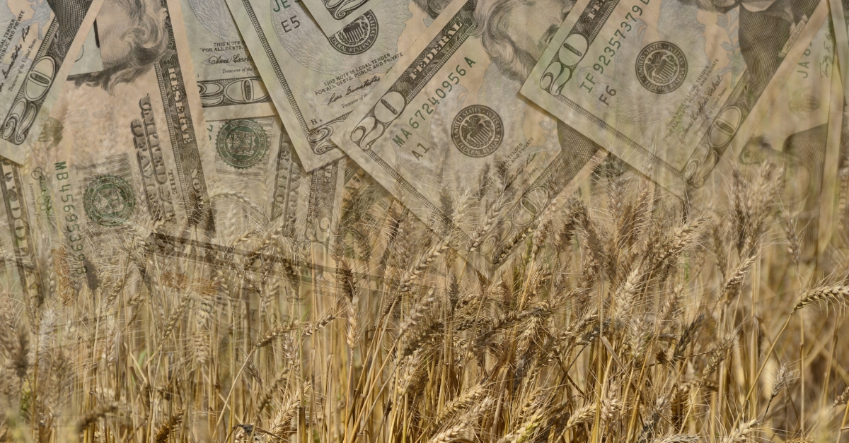 Farm Foundation Forum Detailed Possible Impacts of Upcoming Changes to Taxation Policy - Farm ...