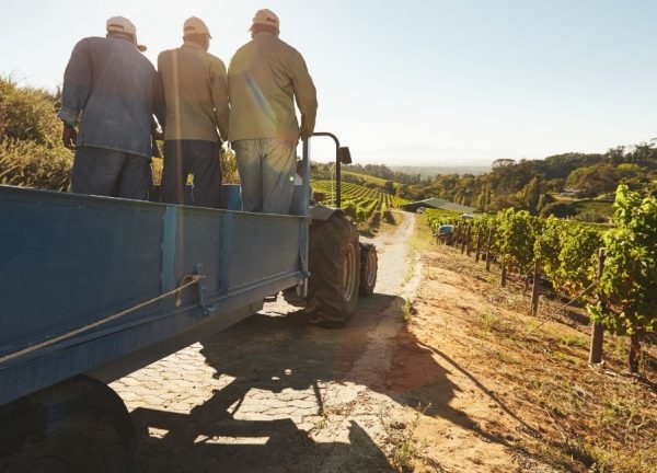 Partner on a Project - Farm Foundation