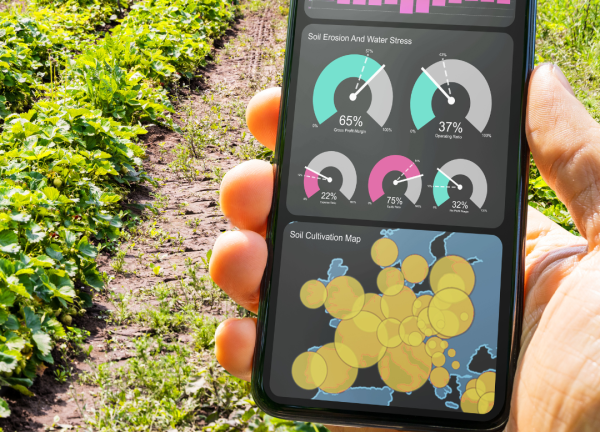 Current Projects - Farm Foundation